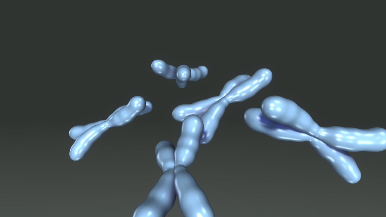 modelo 3d Los cromosomas - TurboSquid 1064477