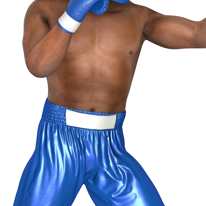 african american boxer pose 3d model