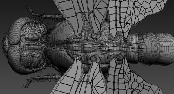 max dragonfly rigged animation