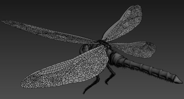 max dragonfly rigged animation