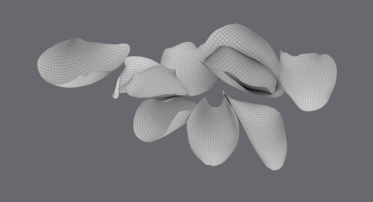 rose petals 3d model
