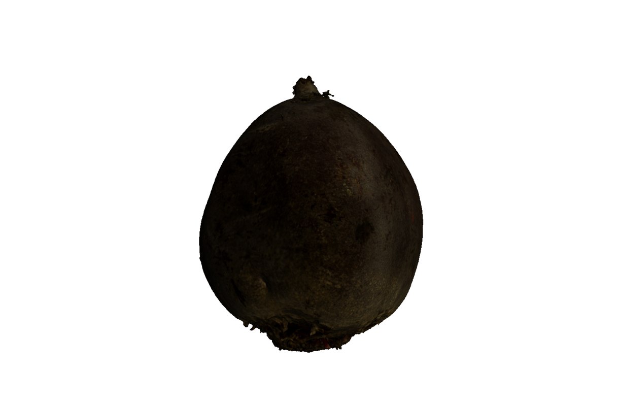 beetroot beet 3d obj