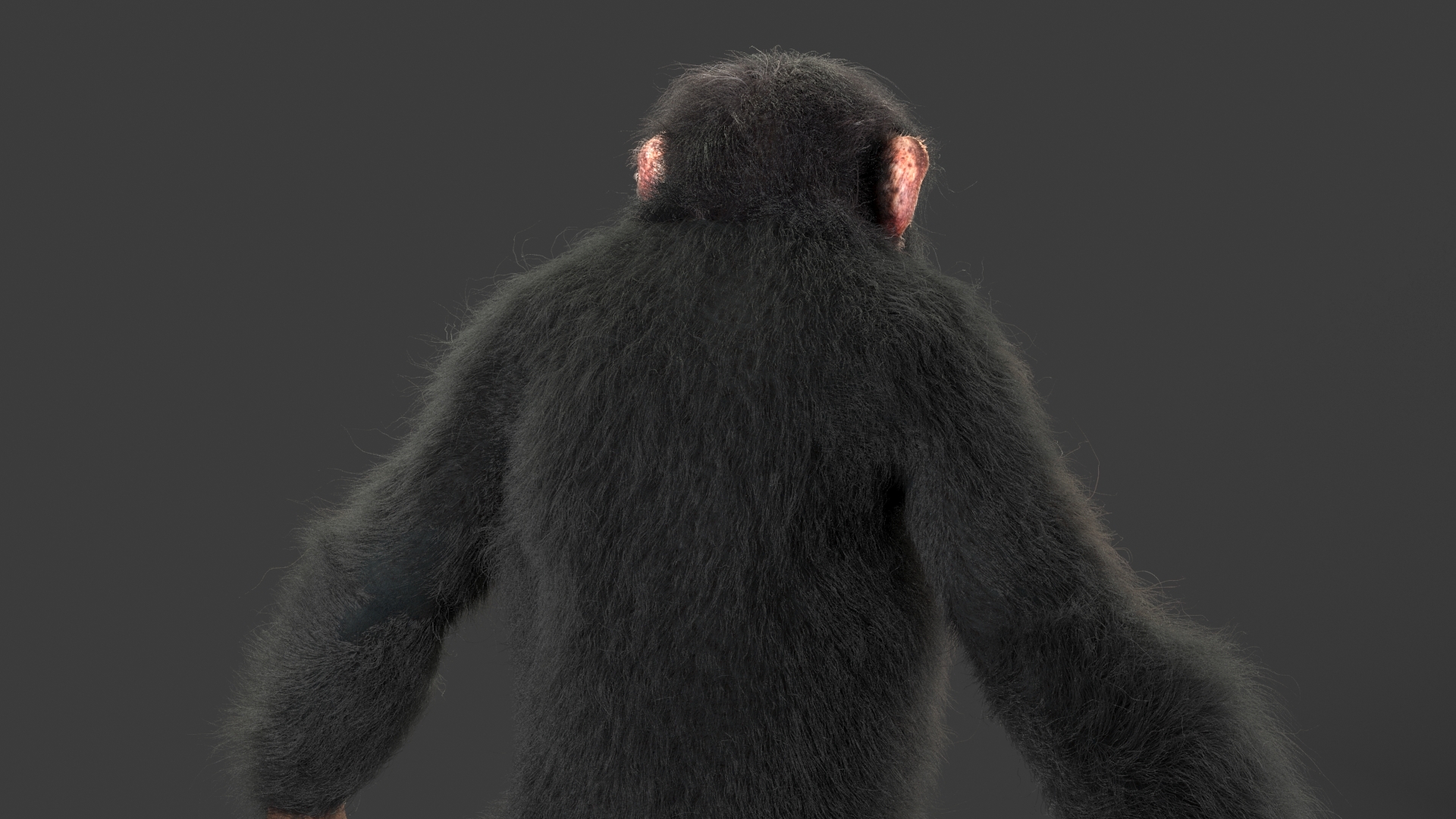 3d model realistic chimp