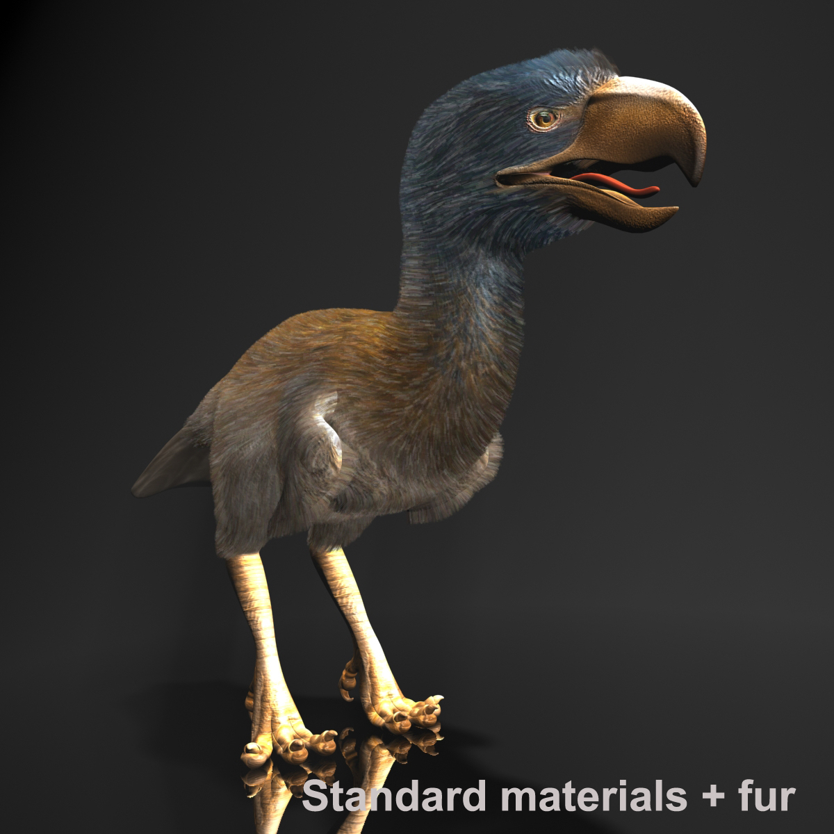 titanis walleri terror bird 3d model