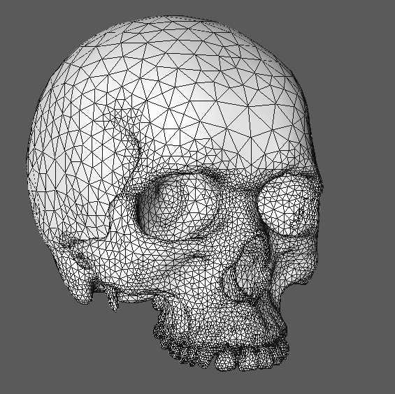 jawless skull 3d model