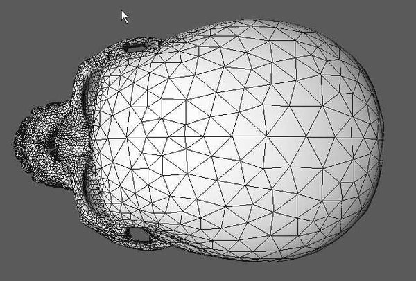 jawless skull 3d model