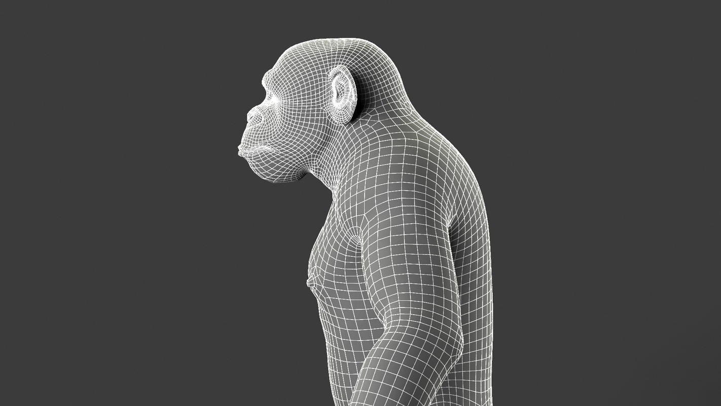 3d model realistic chimp