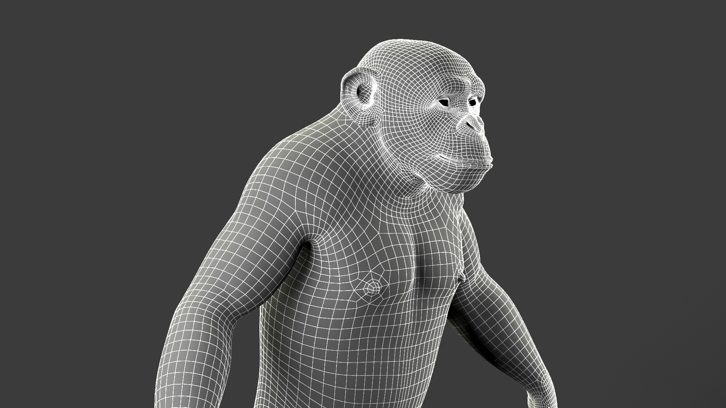 3d model realistic chimp