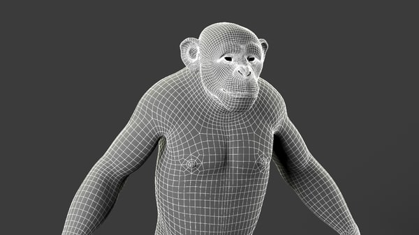 3d model realistic chimp