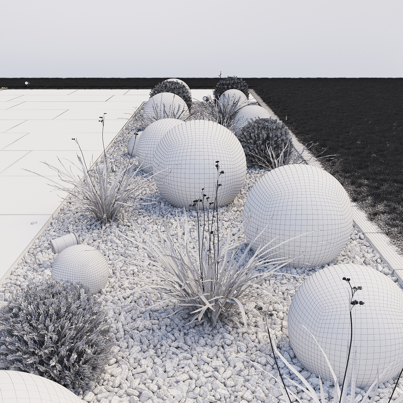 landscape balls plants max