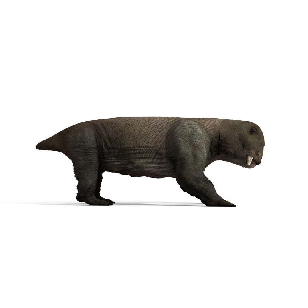 Lystrosaurus