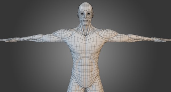 3d model human rigged