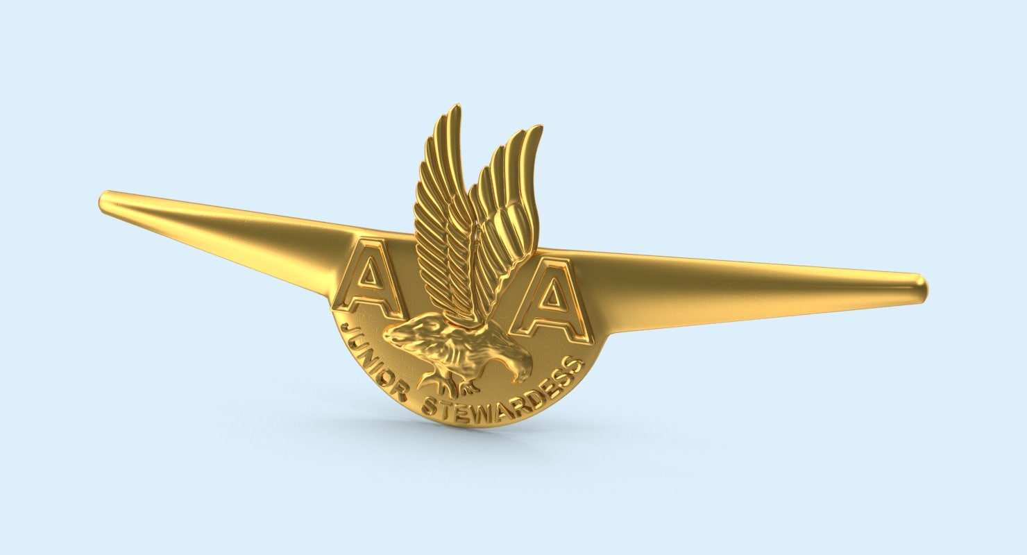 american airlines wings badge 3d max