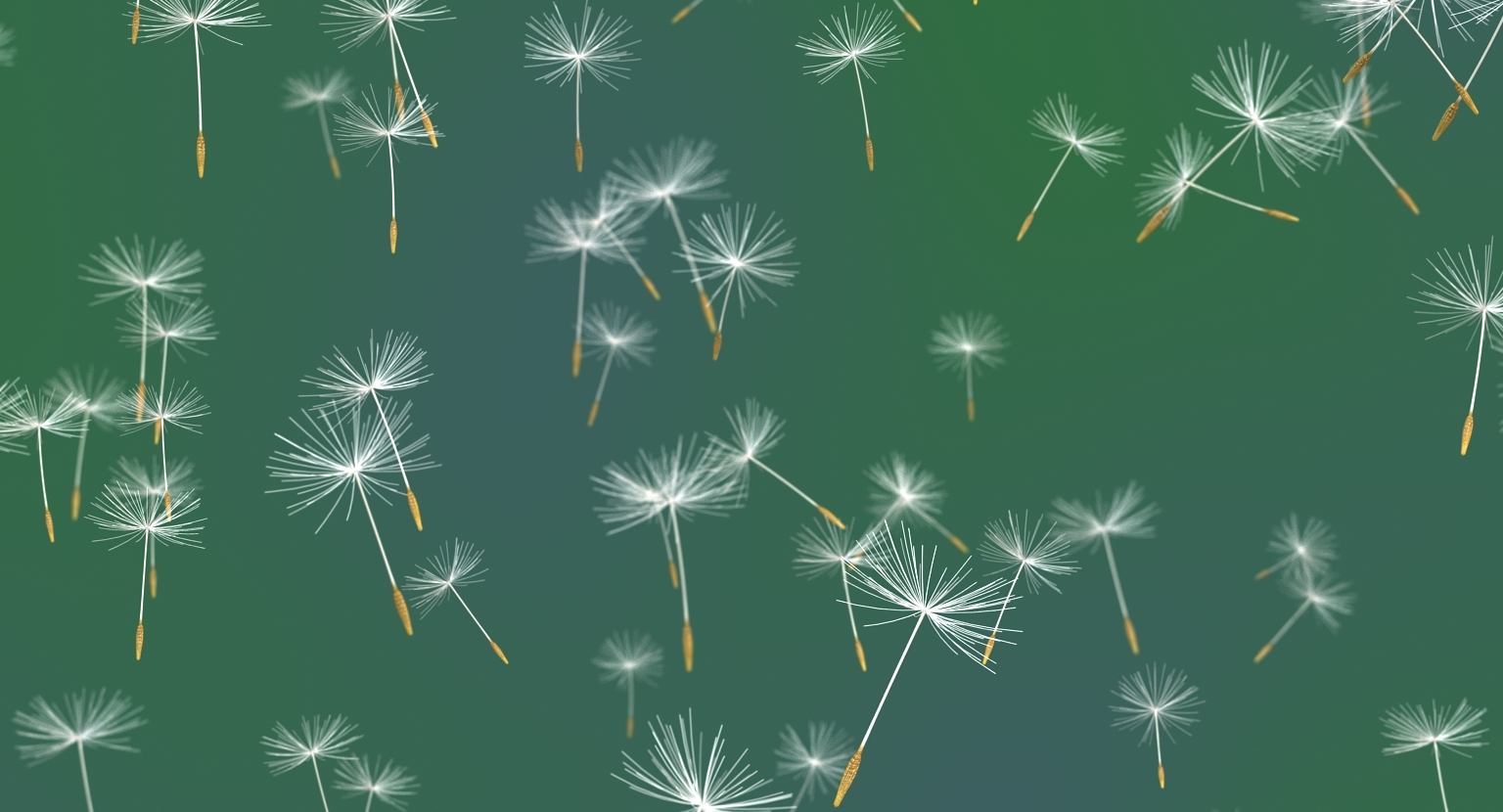 3d dandelion model