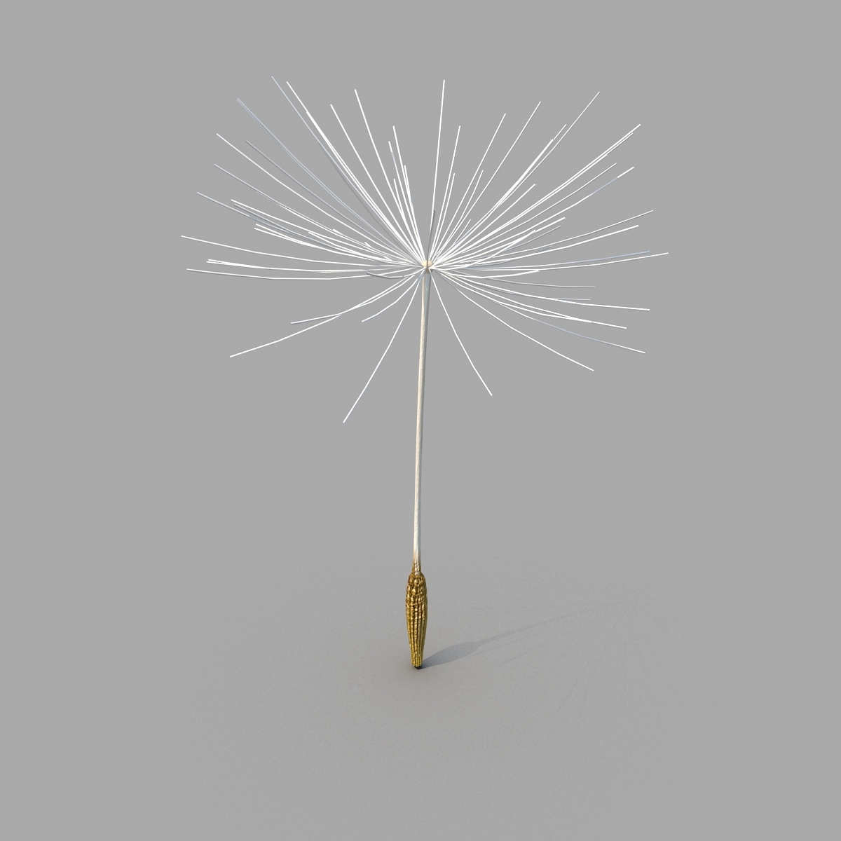 3d dandelion model