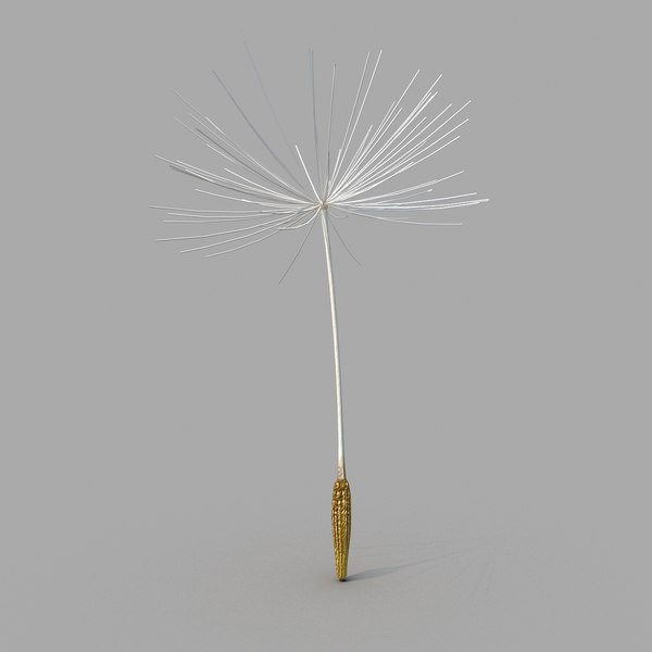 3d dandelion model