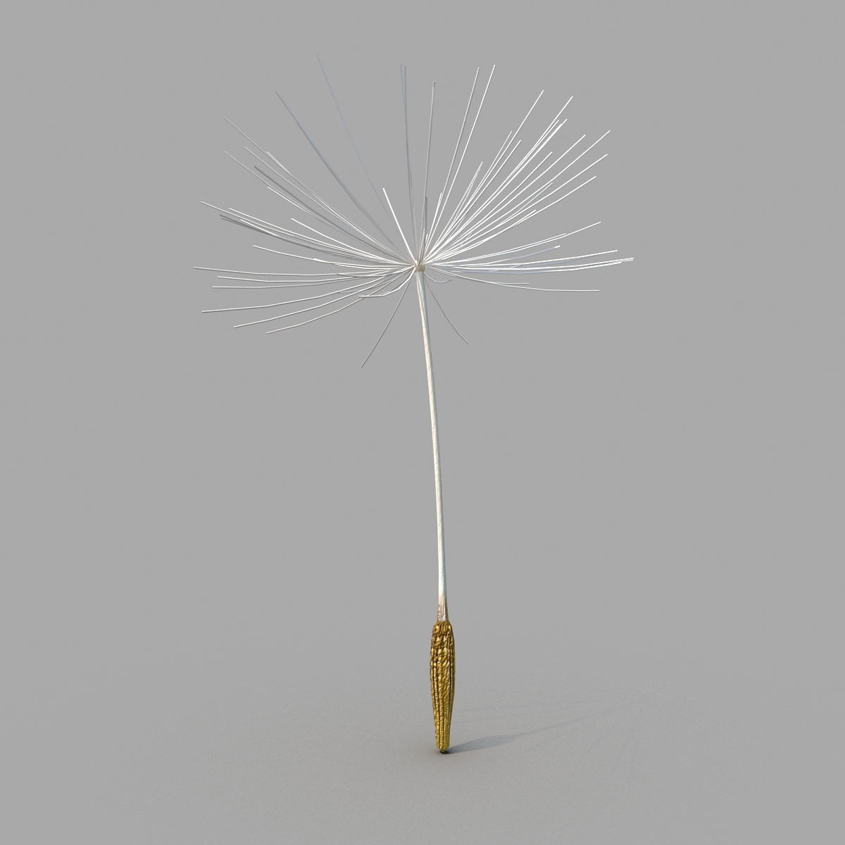3d dandelion model
