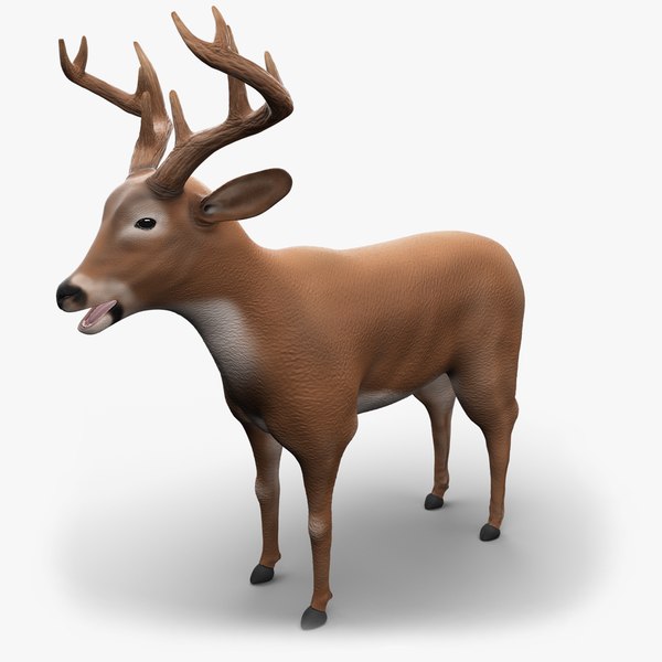 3D Buck Models | TurboSquid