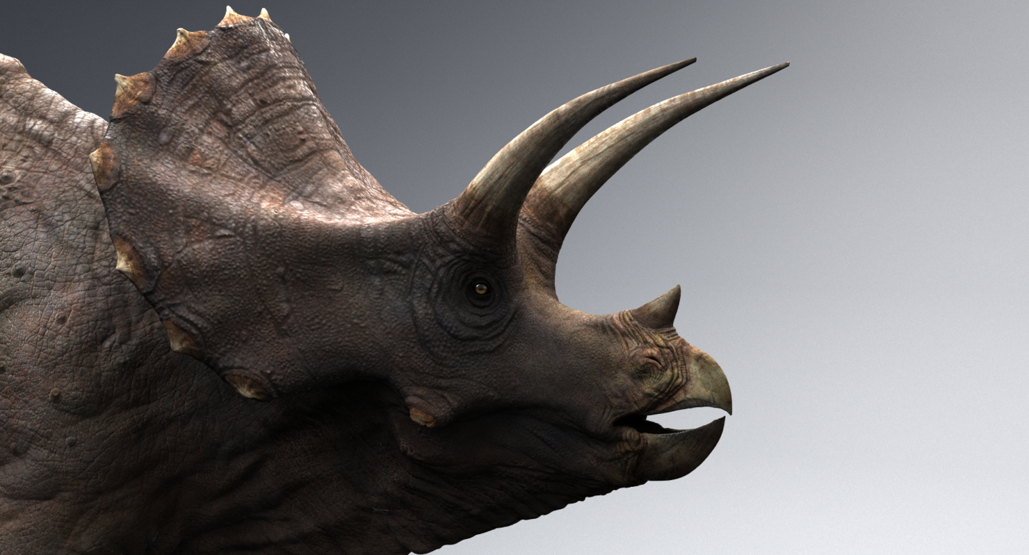 realistic triceratops 3d model