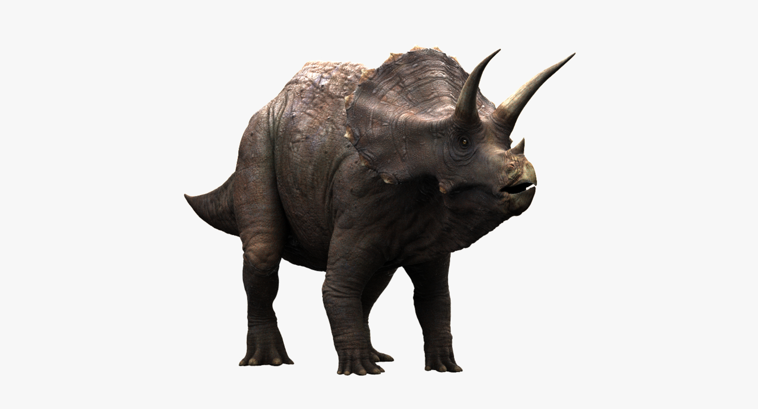 realistic triceratops 3d model
