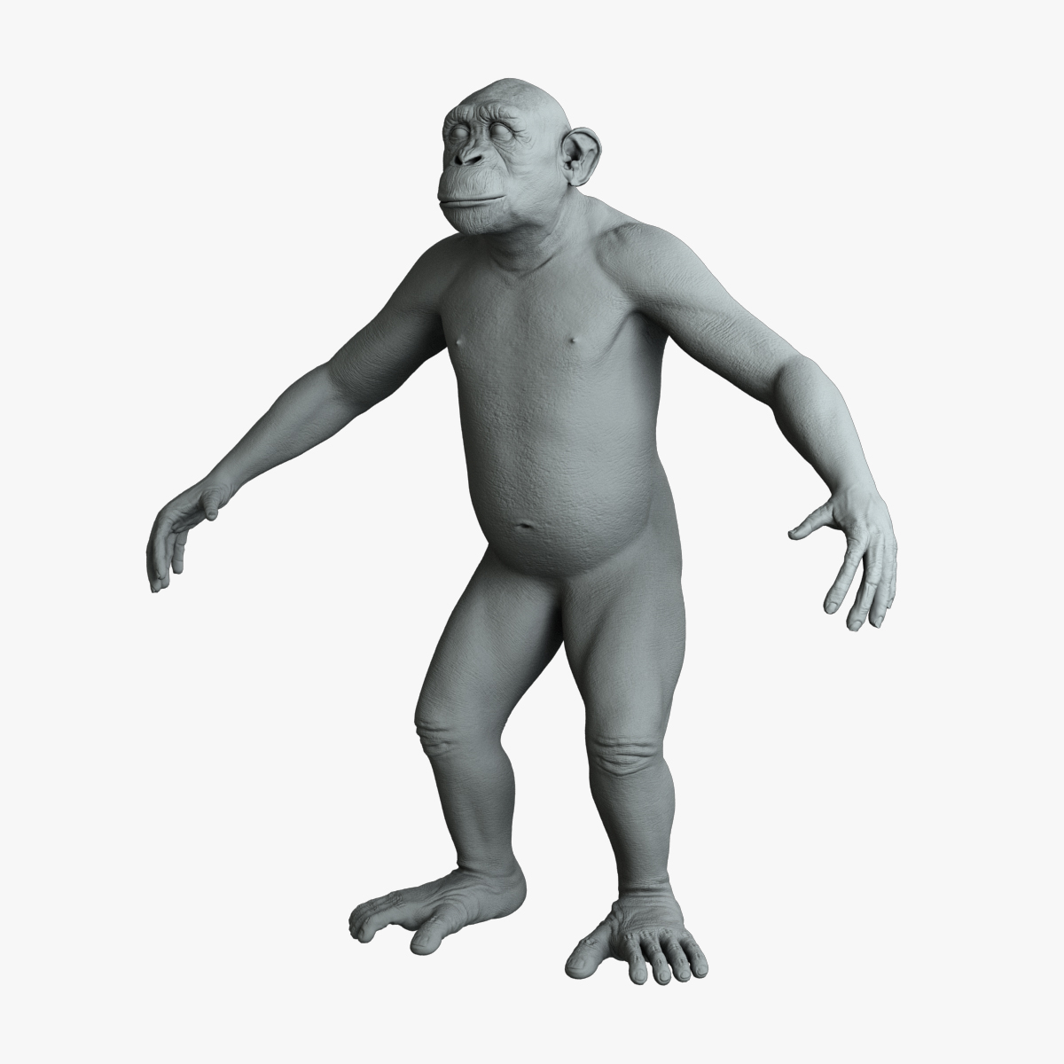 chimpanzee chimp 3d model