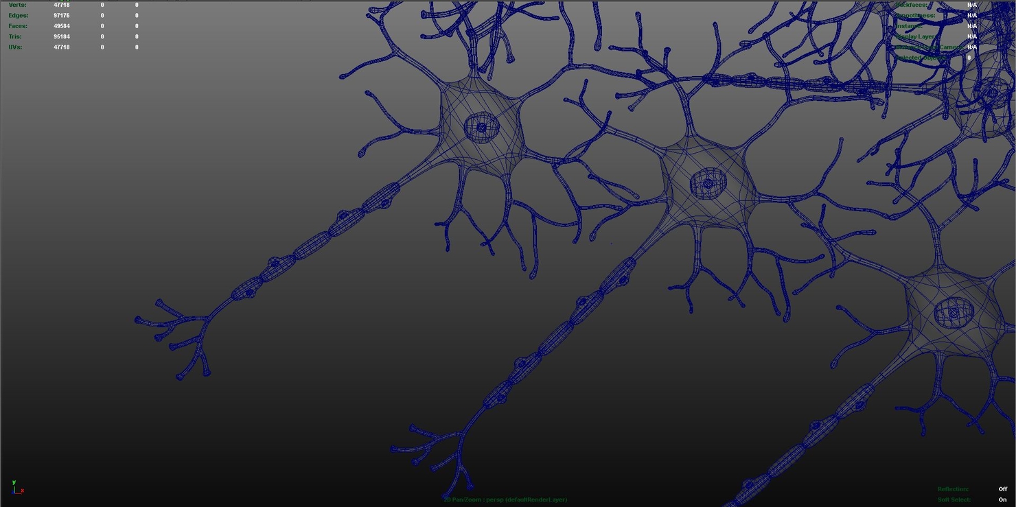structure neuron 3d model