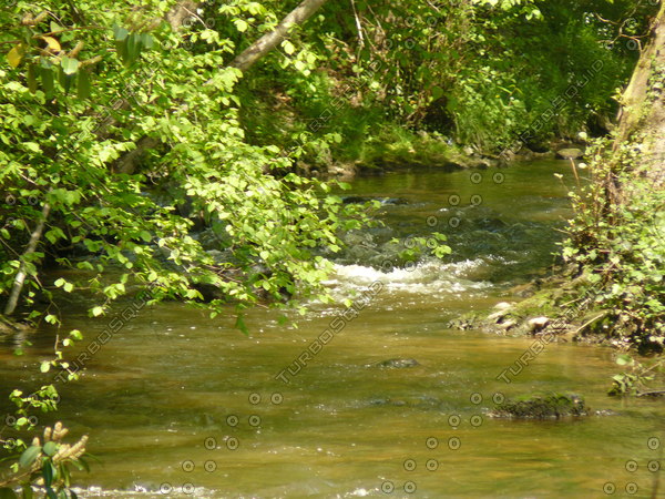 Stock JPEG stream river summer