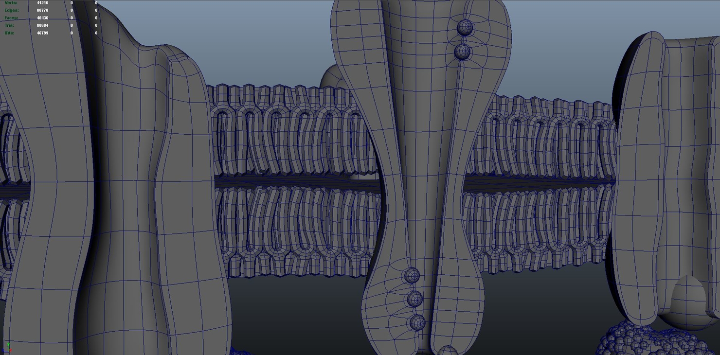 3d cell membrane model