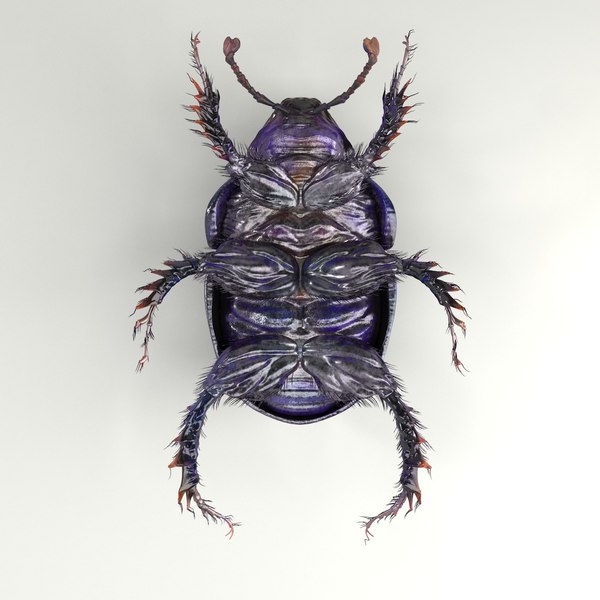 3d scarab beetle