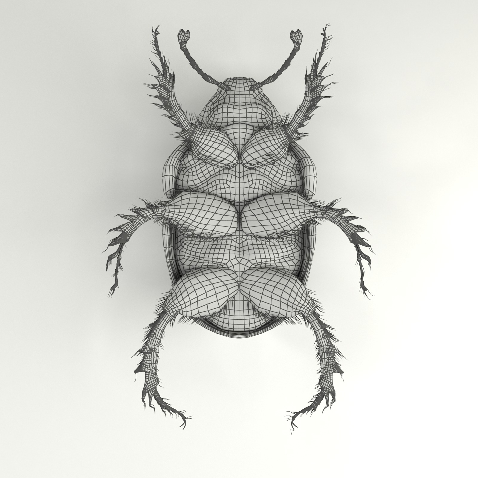 3d scarab beetle