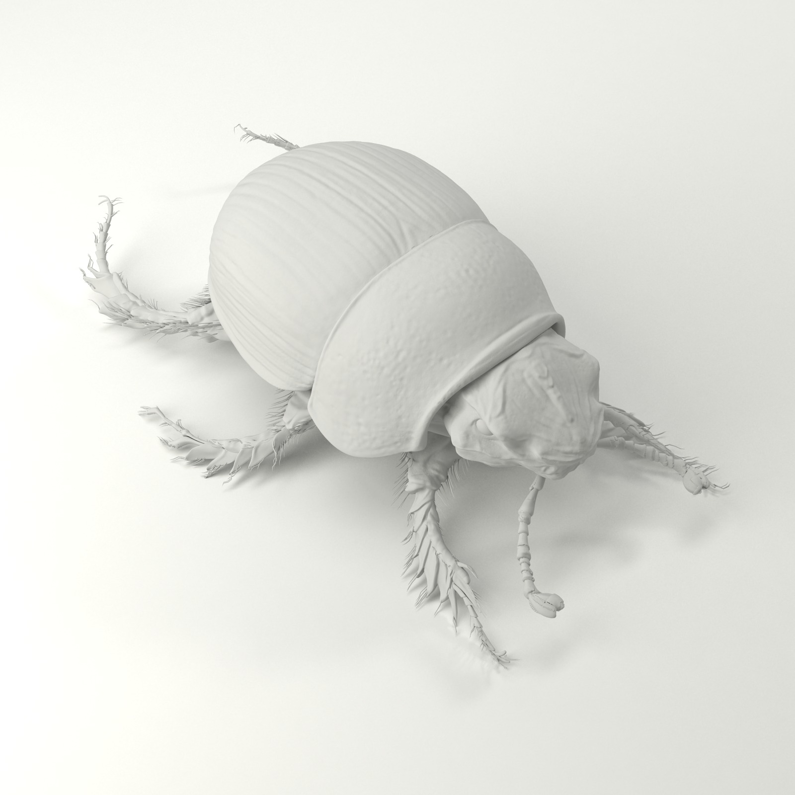 3d scarab beetle