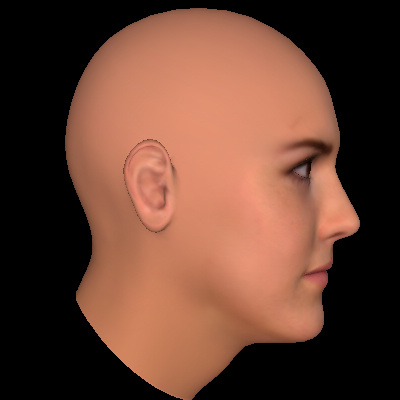 female head obj
