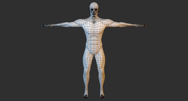 3d model human rigged