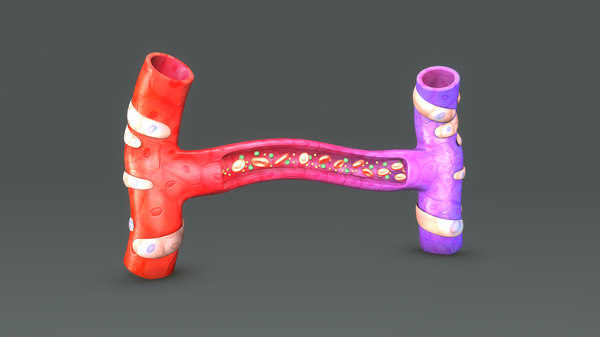 capillary diffusion 3d obj