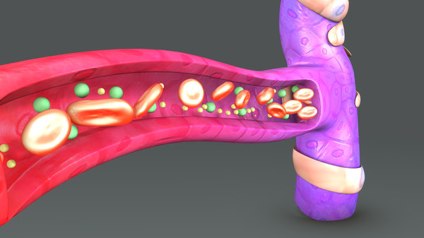 capillary diffusion 3d obj