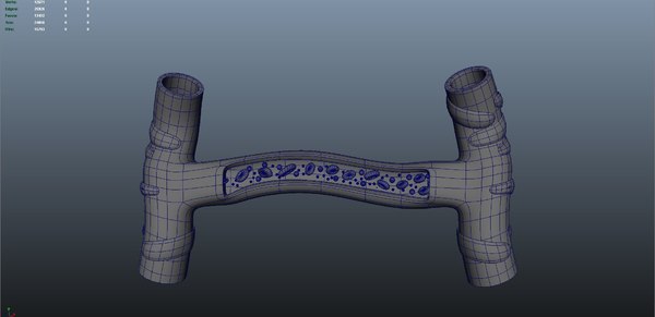 capillary diffusion 3d obj