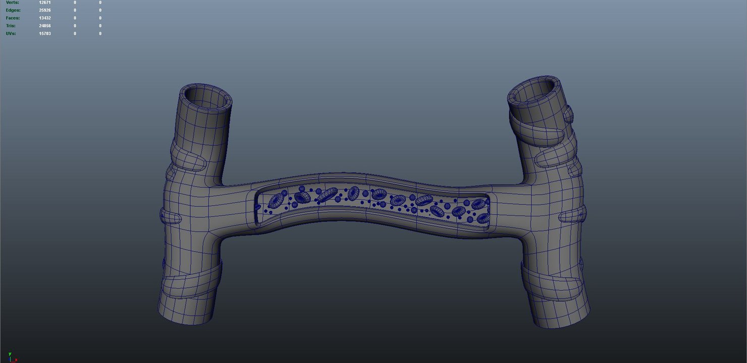 capillary diffusion 3d obj