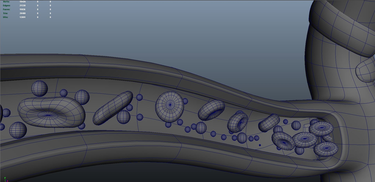 capillary diffusion 3d obj