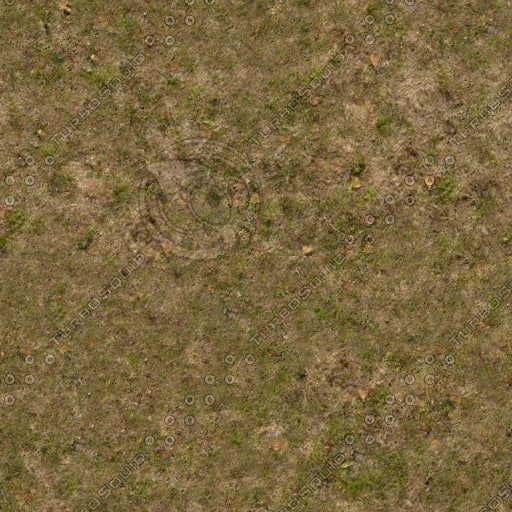 Texture JPEG grass ground nature