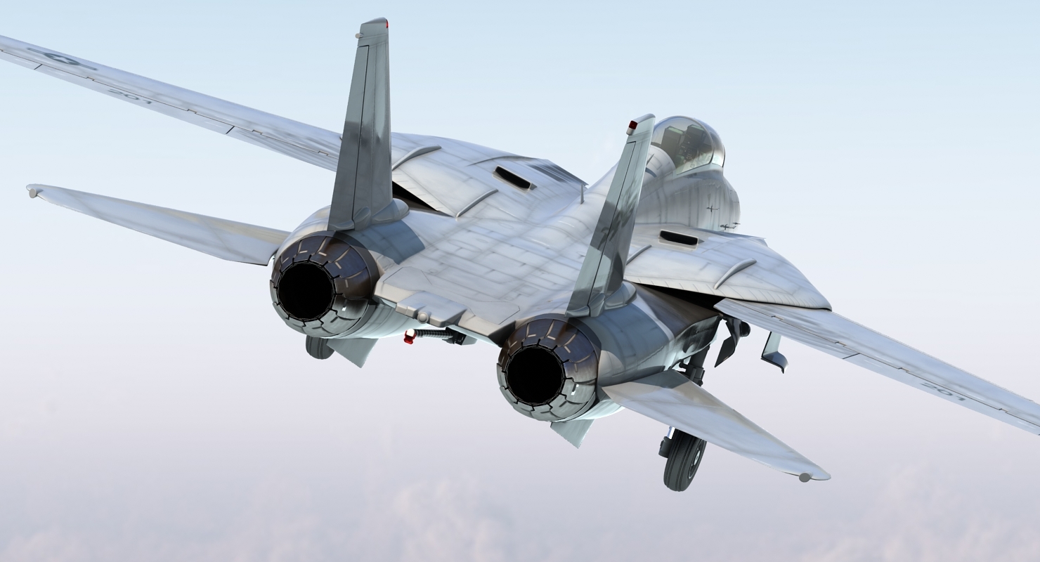 f-14 tomcat combat aircraft 3d max