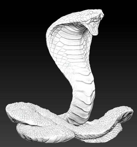 Snake STL Models for Download | TurboSquid