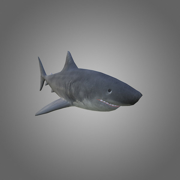 Shark Blender Models for Download | TurboSquid