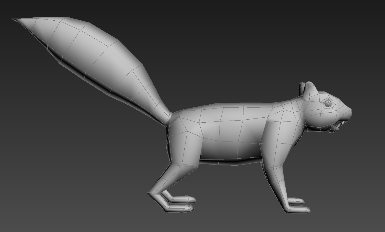 squirrel 3d model