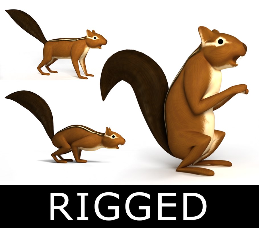 squirrel 3d model