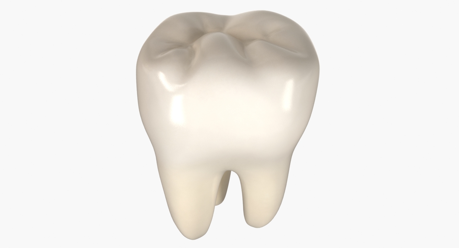 teeth 3d model