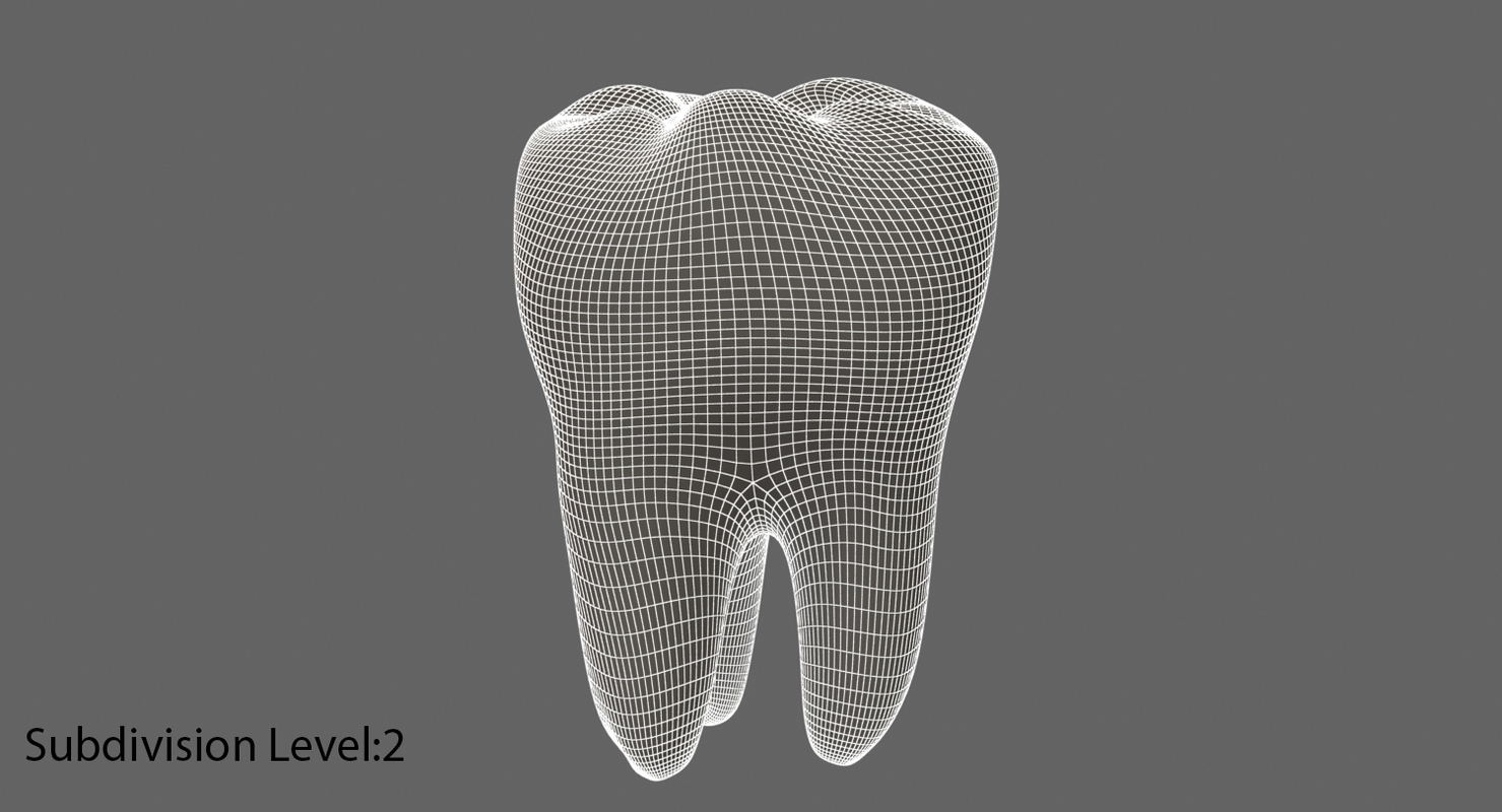 teeth 3d model