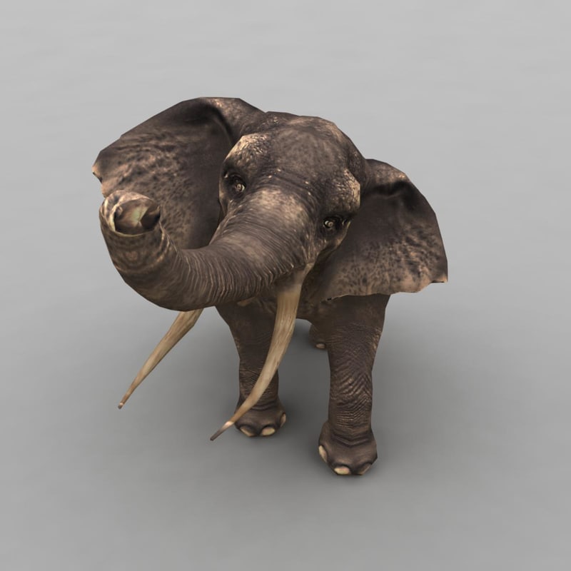 elephant 3d model