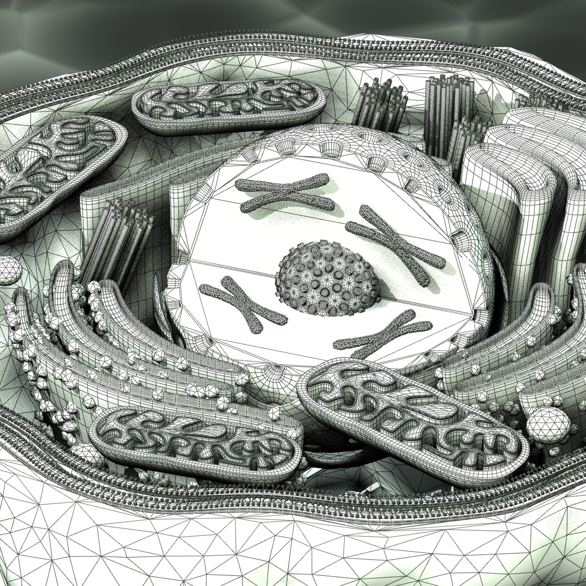 human cell 3d max