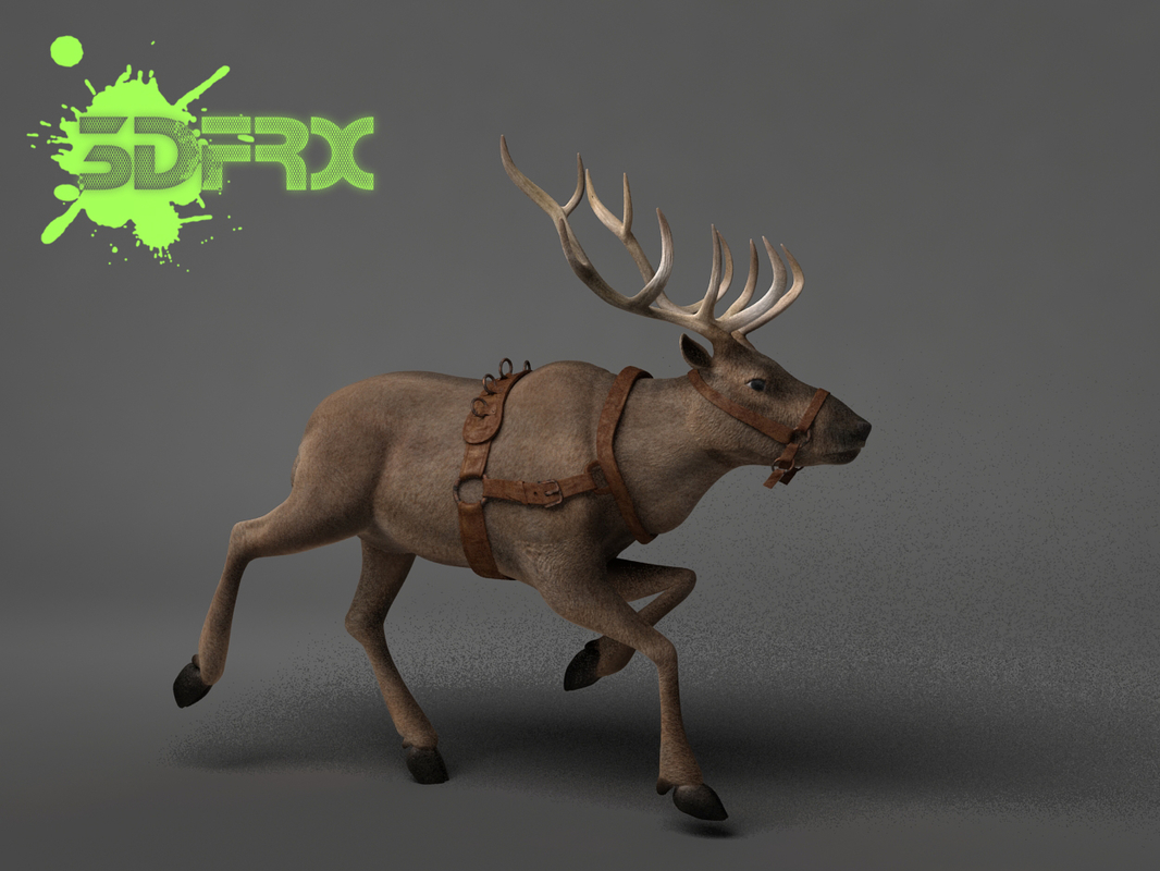 Reindeer 3D Models for Download | TurboSquid