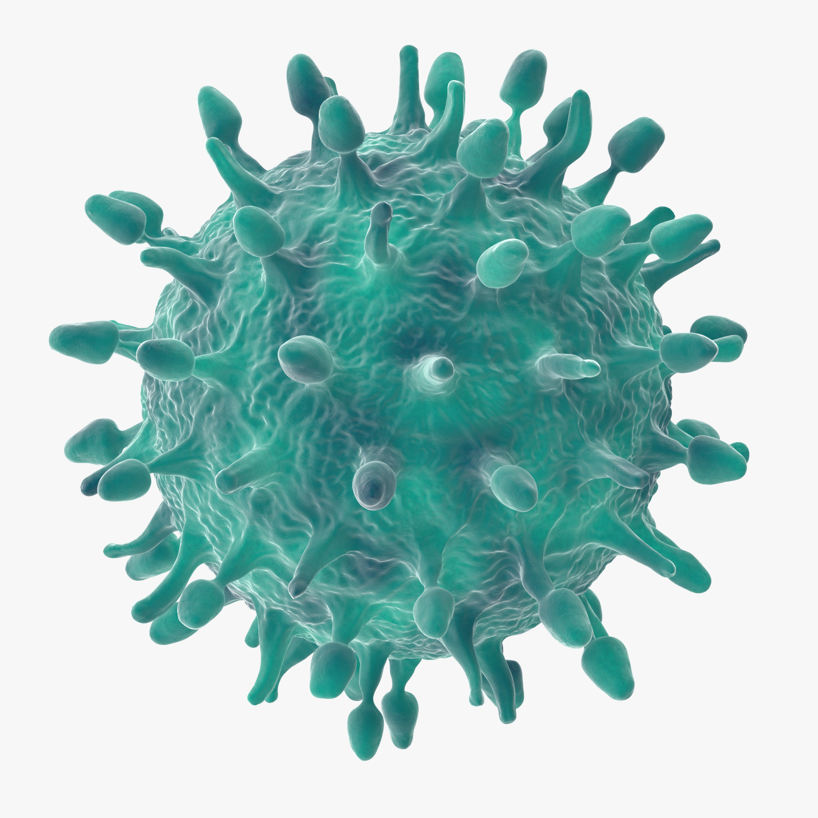 13 viruses virus 3d model